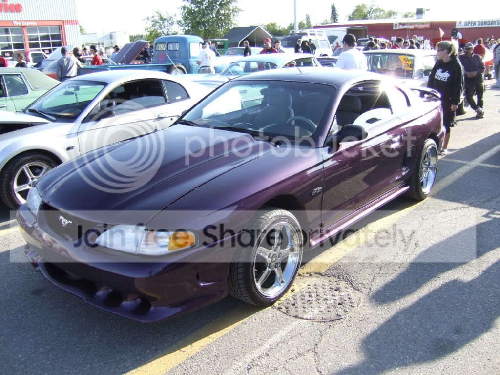 Purple Mustang Club | SN95Forums The Only SN95 1994-2004 Dedicated Ford ...